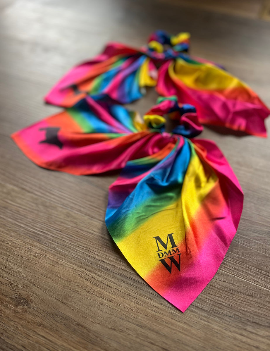 Rainbow Scrunchie - all livestock options – Stock Show Shop